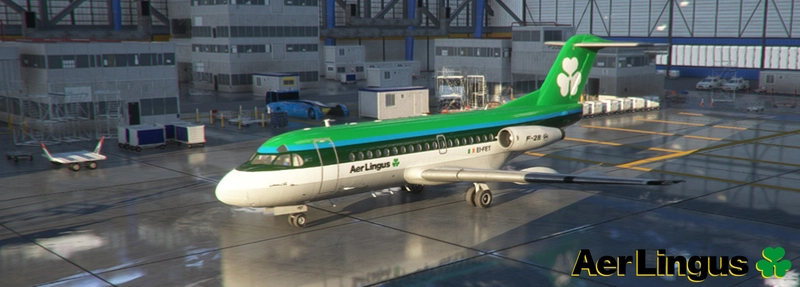 Fokker F28 Professional Liveries for Microsoft Flight Simulator | MSFS