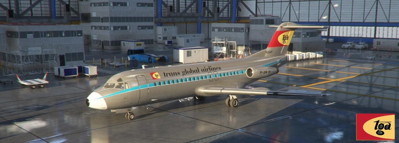 Fokker F28 Professional Liveries for Microsoft Flight Simulator | MSFS