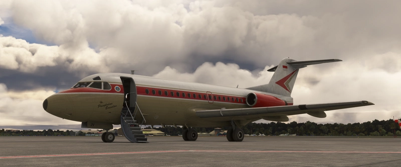 Fokker F28 Professional Liveries for Microsoft Flight Simulator | MSFS