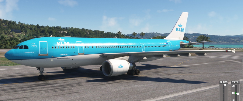 iniBuilds Airbus A300 Liveries for Microsoft Flight Simulator | MSFS
