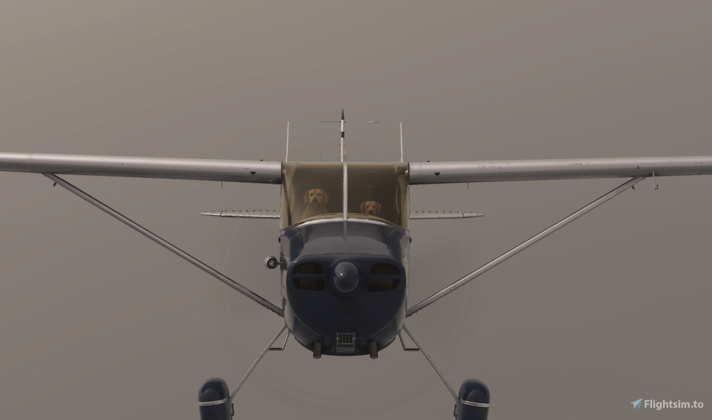 Little Nav Map profile for C-170b für Microsoft Flight Simulator | MSFS