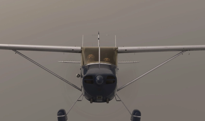 Little Navmap for Microsoft Flight Simulator | MSFS | Flightsim.to