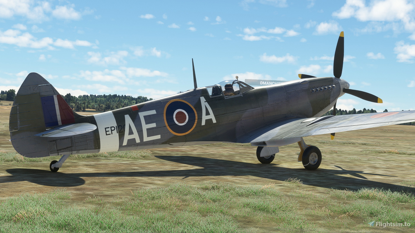 Livery FlyingIron SPITFIRE L.F MK IXC City of Winnipeg (CW) for ...