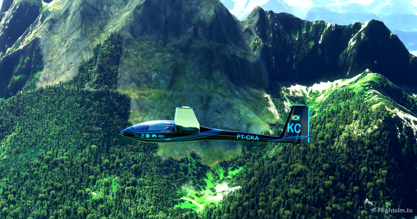 LS4 Livery Catrapo Black pour Microsoft Flight Simulator | MSFS