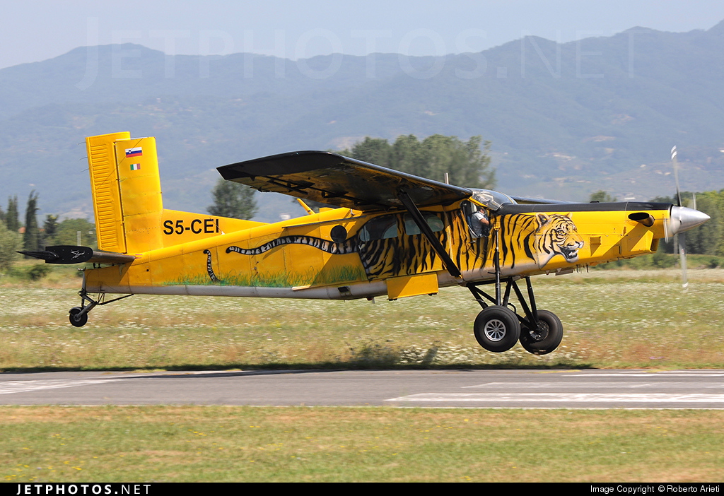 Milviz PC6 Porter Skydive Marche repaint request for Microsoft Flight ...