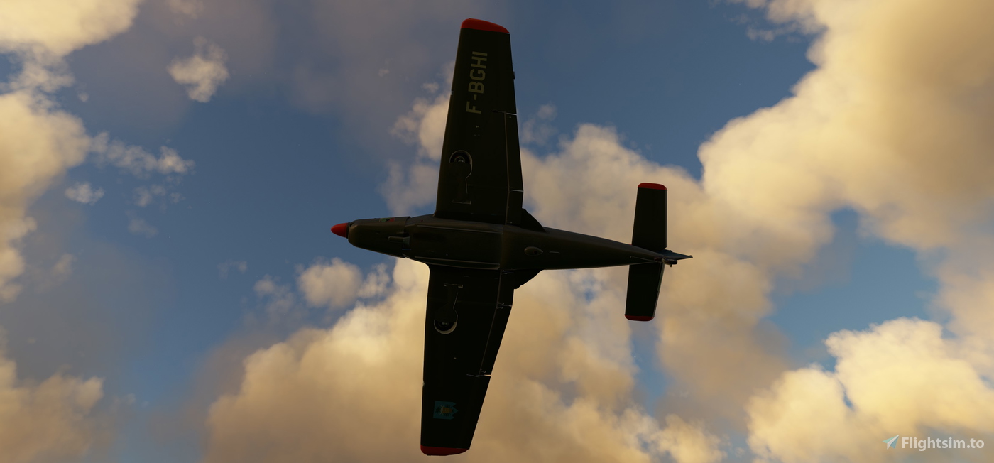 Morane-Saulnier MS733 Alcyon "Ubanghi" green-brown F-BGHI for Microsoft ...