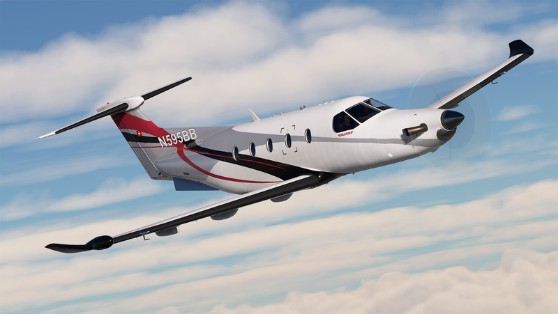 N595BB + Dynamic Reg (all variants) for SWS PC12 for Microsoft Flight ...