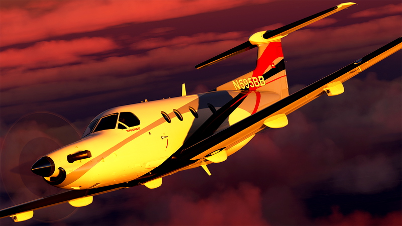 N595BB + Dynamic Reg (all variants) for SWS PC12 for Microsoft Flight ...