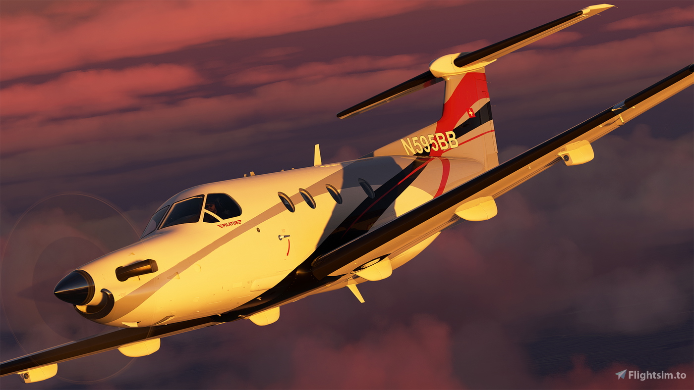 N595BB + Dynamic Reg (all variants) for SWS PC12 for Microsoft Flight ...