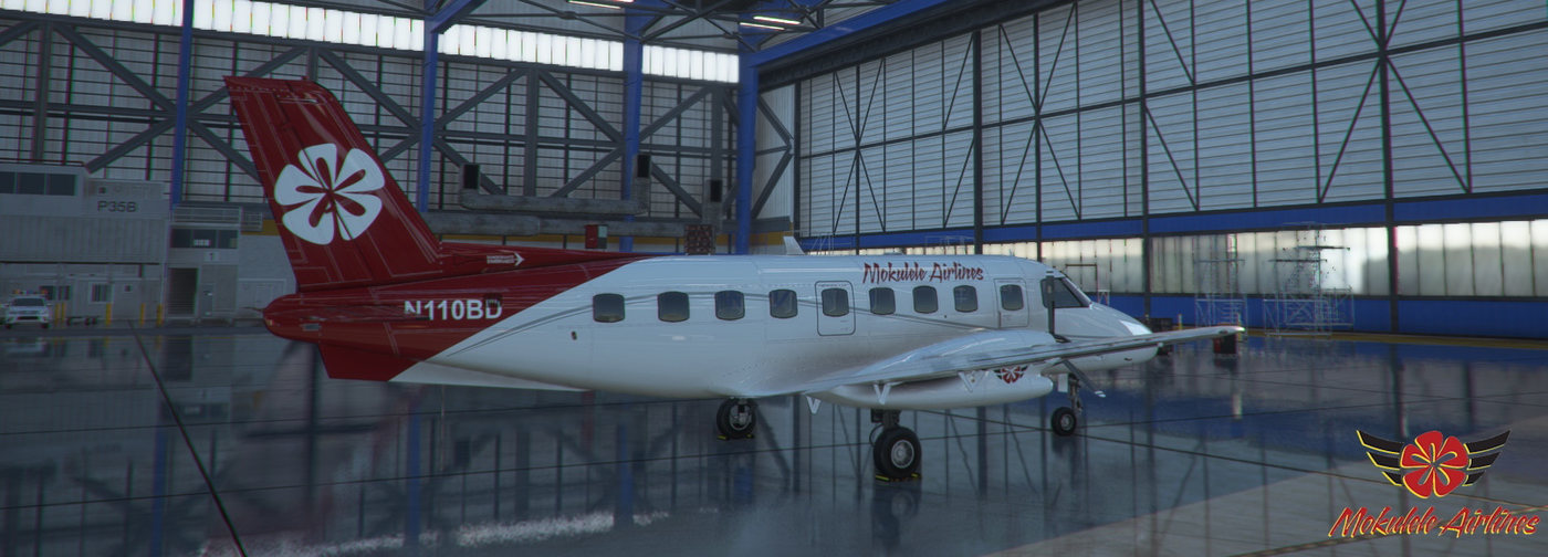 NextGen Simulations Embraer EMB110P1 Mokulele N110BD for Microsoft ...