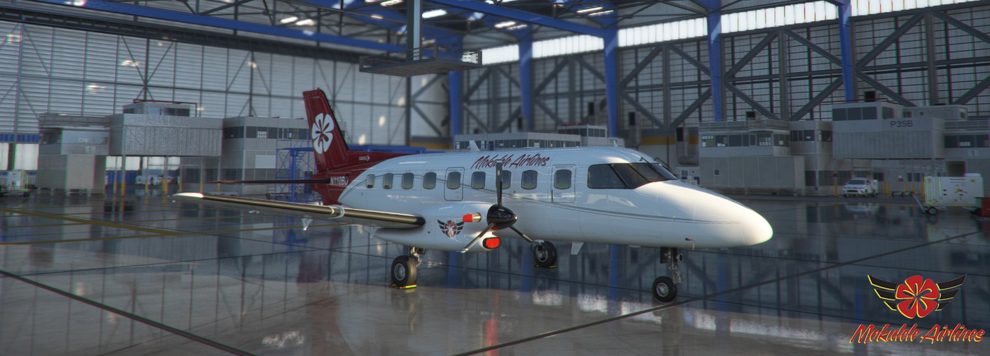 NextGen Simulations Embraer EMB110P1 Mokulele N110BD for Microsoft ...
