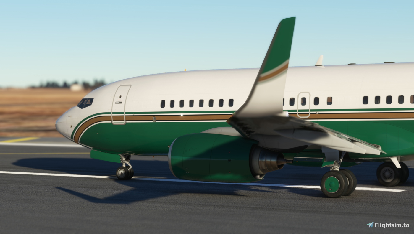 Orlando Magic (N260DV) PMDG 737-700 BBJ- 8K for Microsoft Flight ...