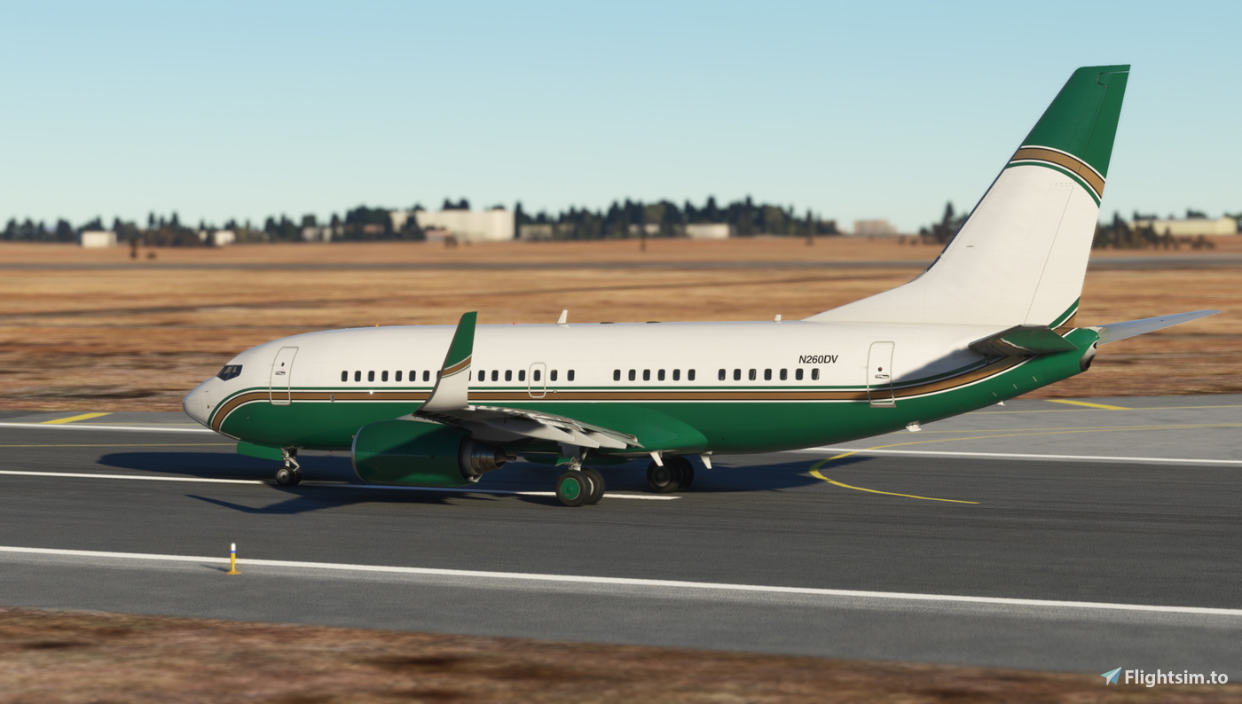 Orlando Magic (N260DV) PMDG 737-700 BBJ- 8K for Microsoft Flight ...