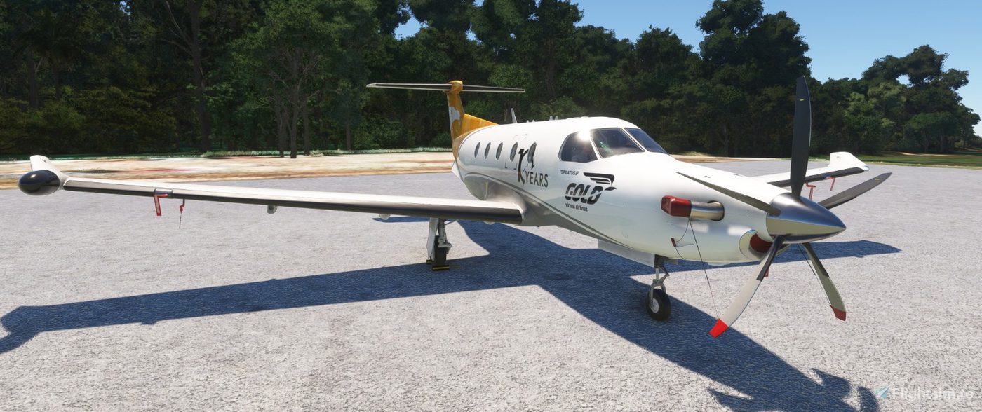 Pilatus PC12 SimWorks Studios - Gold Virtual Airlines 10 Years für ...