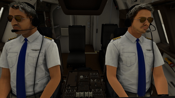 Fenix A320 Pilot&Copilot for Microsoft Flight Simulator | MSFS
