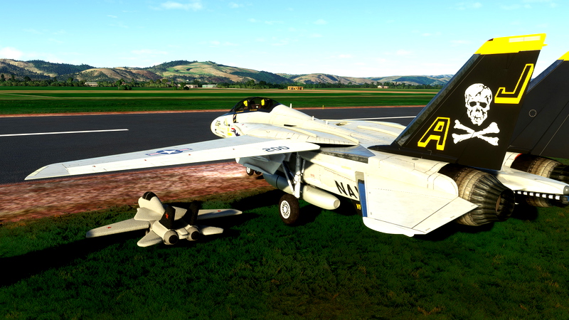 Plushie Collection for Microsoft Flight Simulator | MSFS