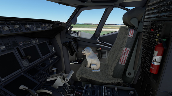 Fenix A320 Pilot&Copilot for Microsoft Flight Simulator | MSFS