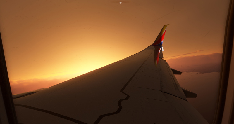 PMDG 737 - Wing Flex Mod (Experimental) for Microsoft Flight Simulator ...