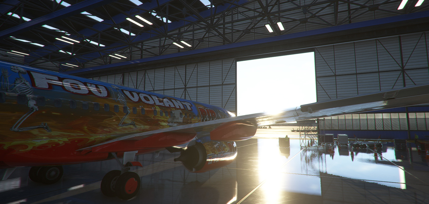 PMDG 737- 900ER LE FOU VOLANT - LIVREES für Microsoft Flight Simulator ...