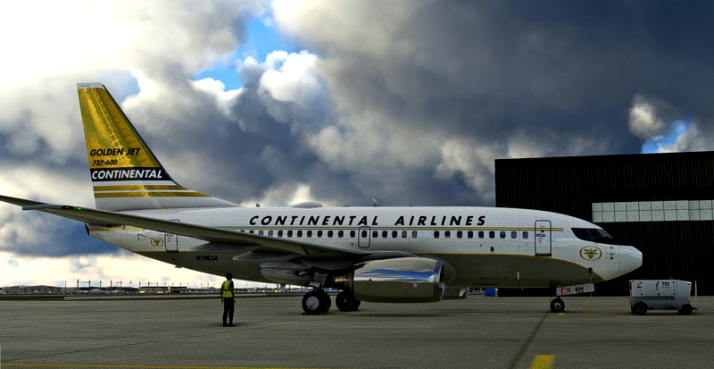 PMDG Boeing 737-600 Liveries for Microsoft Flight Simulator | MSFS