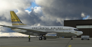 PMDG 737-600 Continental Golden Jet Livery - N19634 - MSFS Add-on ...