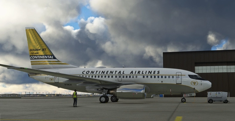 PMDG Boeing 737-600 Liveries for Microsoft Flight Simulator | MSFS