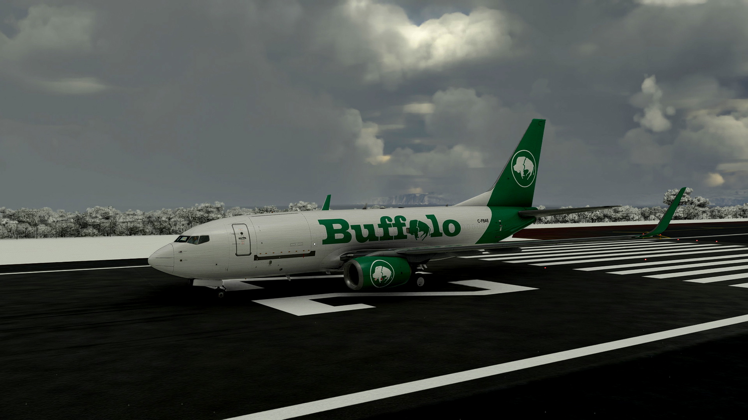 Liveries - PMDG Boeing 737-700 Add-Ons for Microsoft Flight Simulator ...