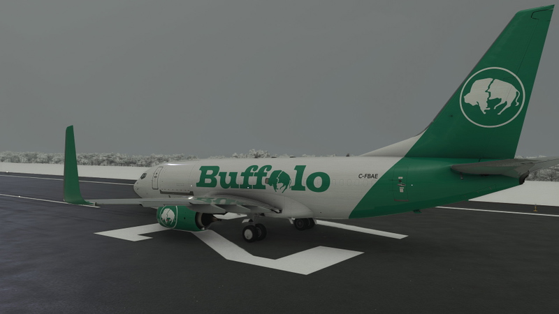 PMDG 737-700 BDSF Buffalo Airways C-FBAE for Microsoft Flight Simulator ...