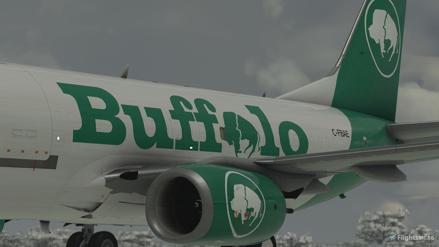 PMDG 737-700 BDSF Buffalo Airways C-FBAE for Microsoft Flight Simulator ...