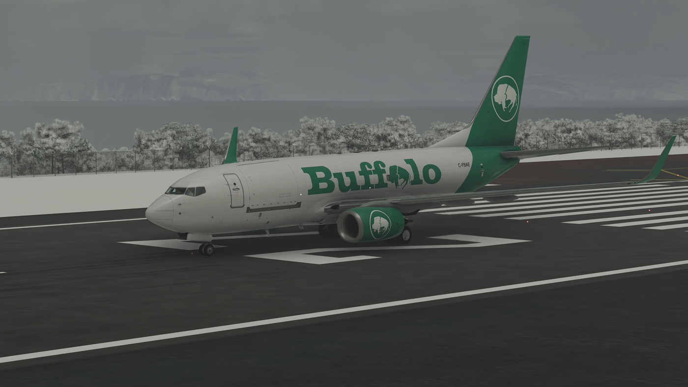 PMDG 737-700 BDSF Buffalo Airways C-FBAE for Microsoft Flight Simulator ...