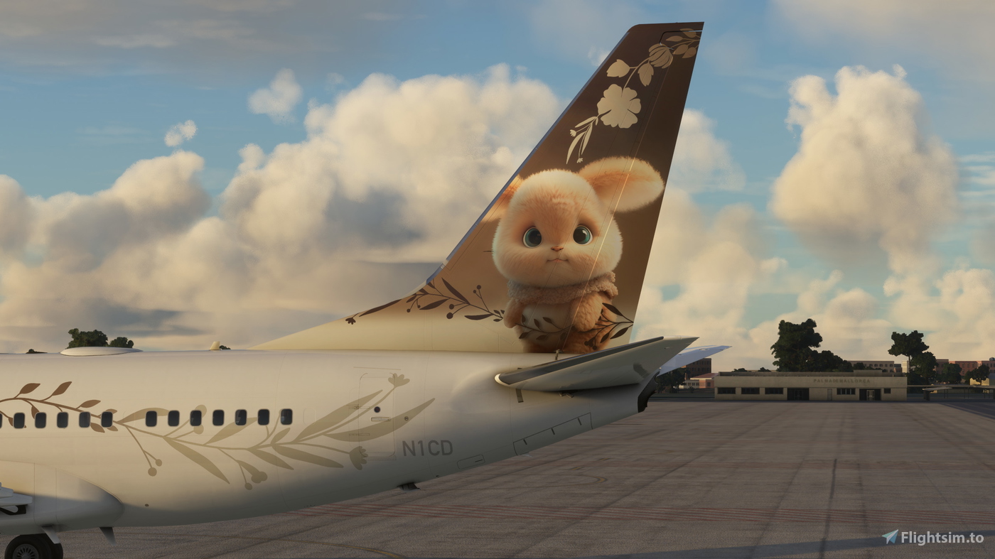 PMDG 737-700BBJ Cuddles (N1CD / Fictional) for Microsoft Flight ...