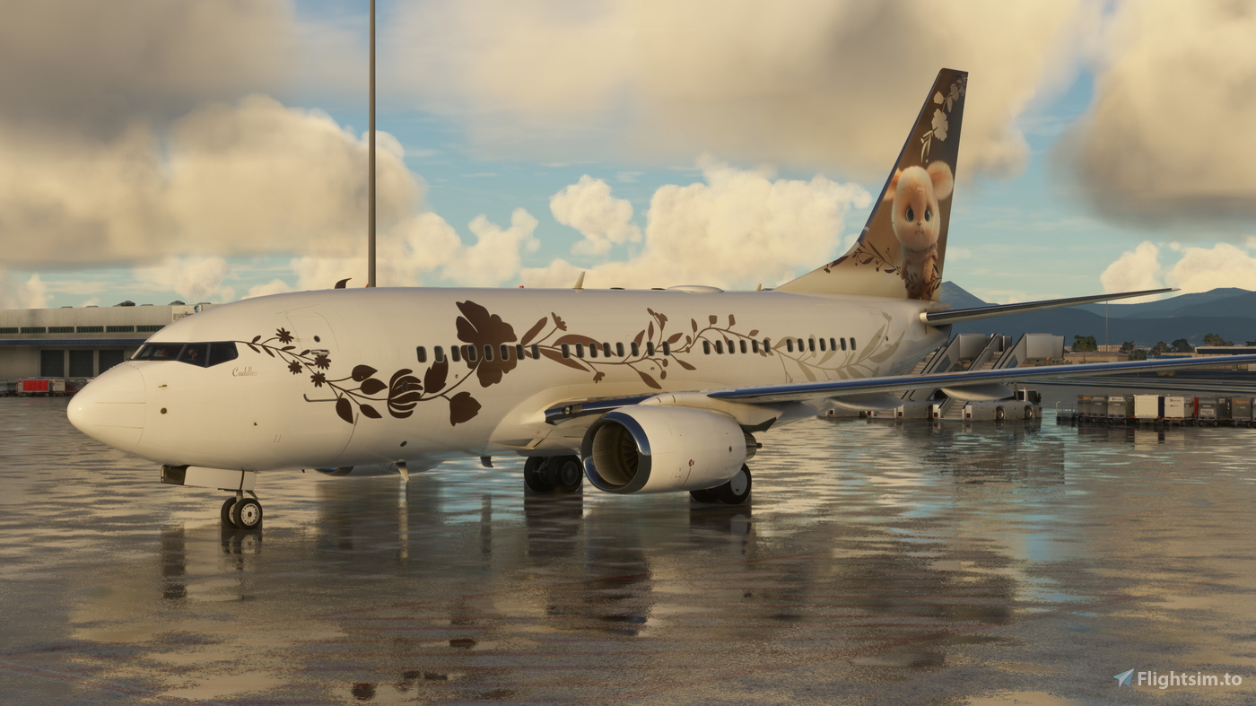 PMDG 737-700BBJ Cuddles (N1CD / Fictional) for Microsoft Flight ...
