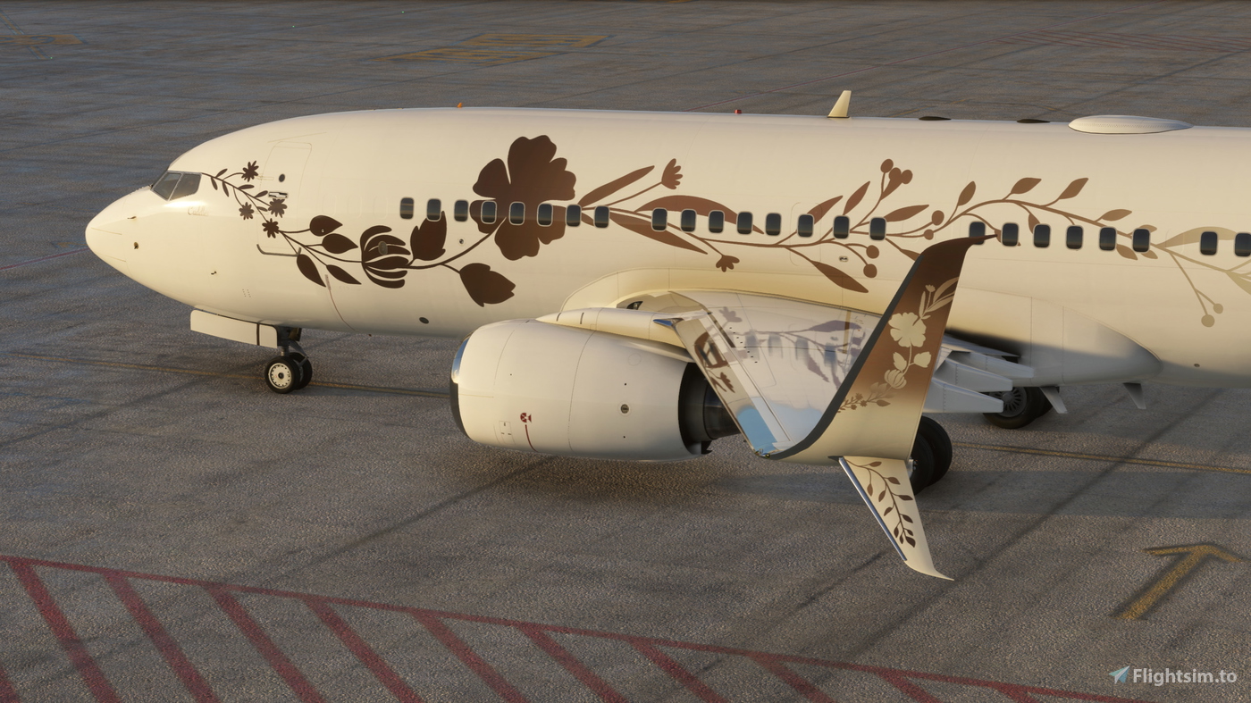 PMDG 737-700BBJ Cuddles (N1CD / Fictional) for Microsoft Flight ...