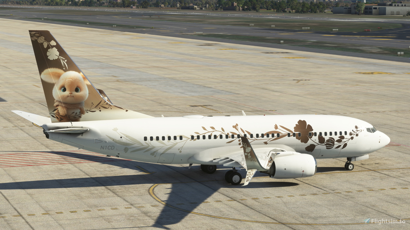 PMDG 737-700BBJ Cuddles (N1CD / Fictional) for Microsoft Flight ...