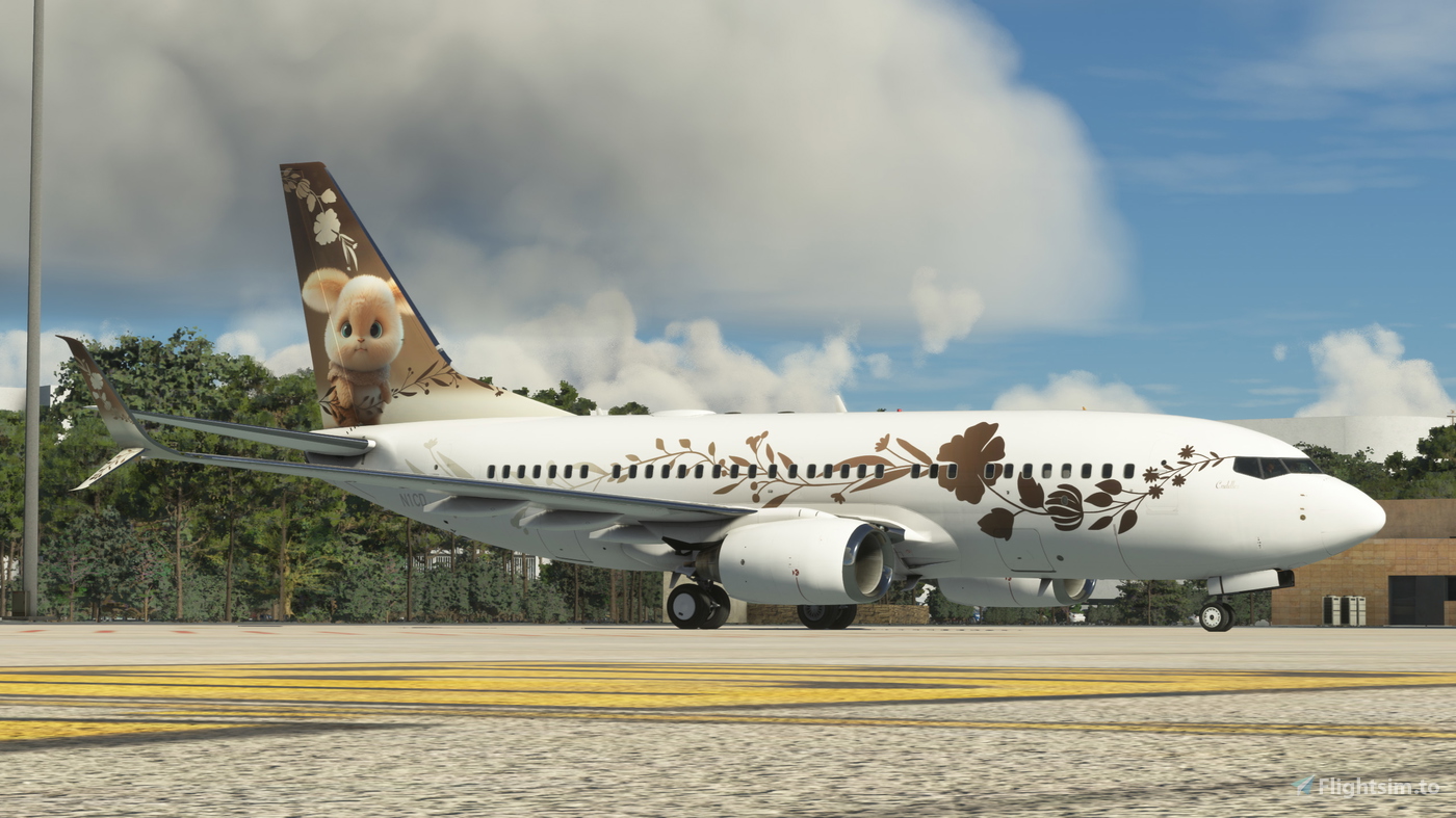 PMDG 737-700BBJ Cuddles (N1CD / Fictional) for Microsoft Flight ...