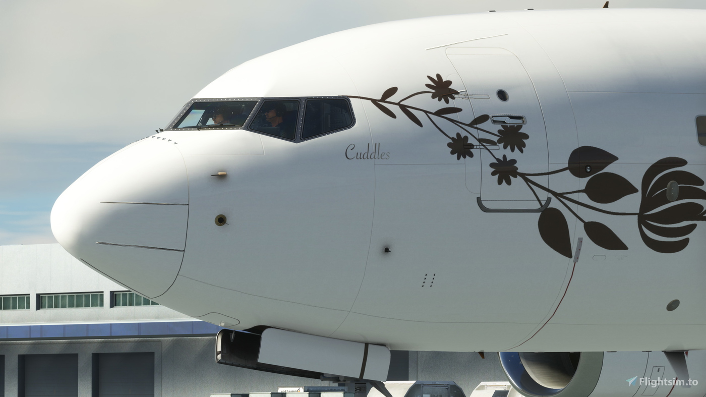 PMDG 737-700BBJ Cuddles (N1CD / Fictional) for Microsoft Flight ...