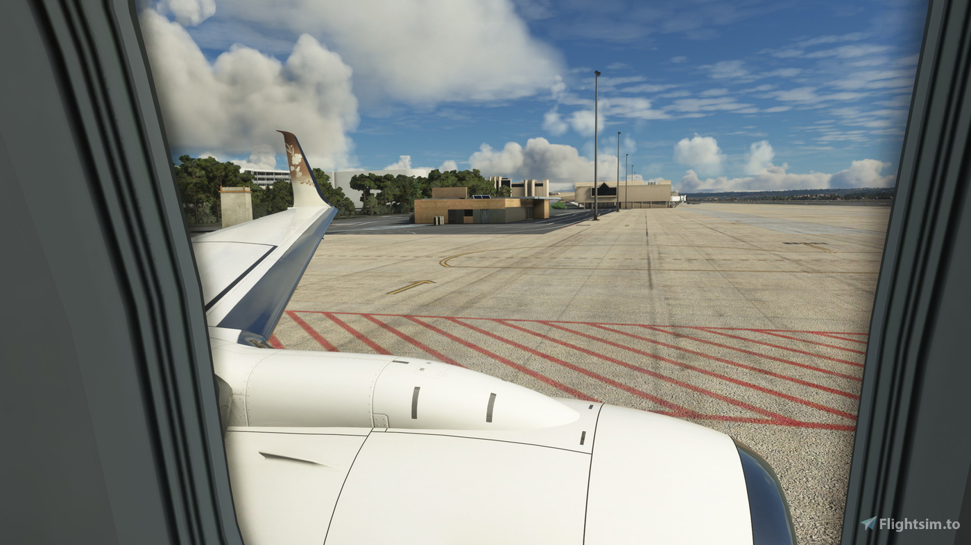 PMDG 737-700BBJ Cuddles (N1CD / Fictional) for Microsoft Flight ...