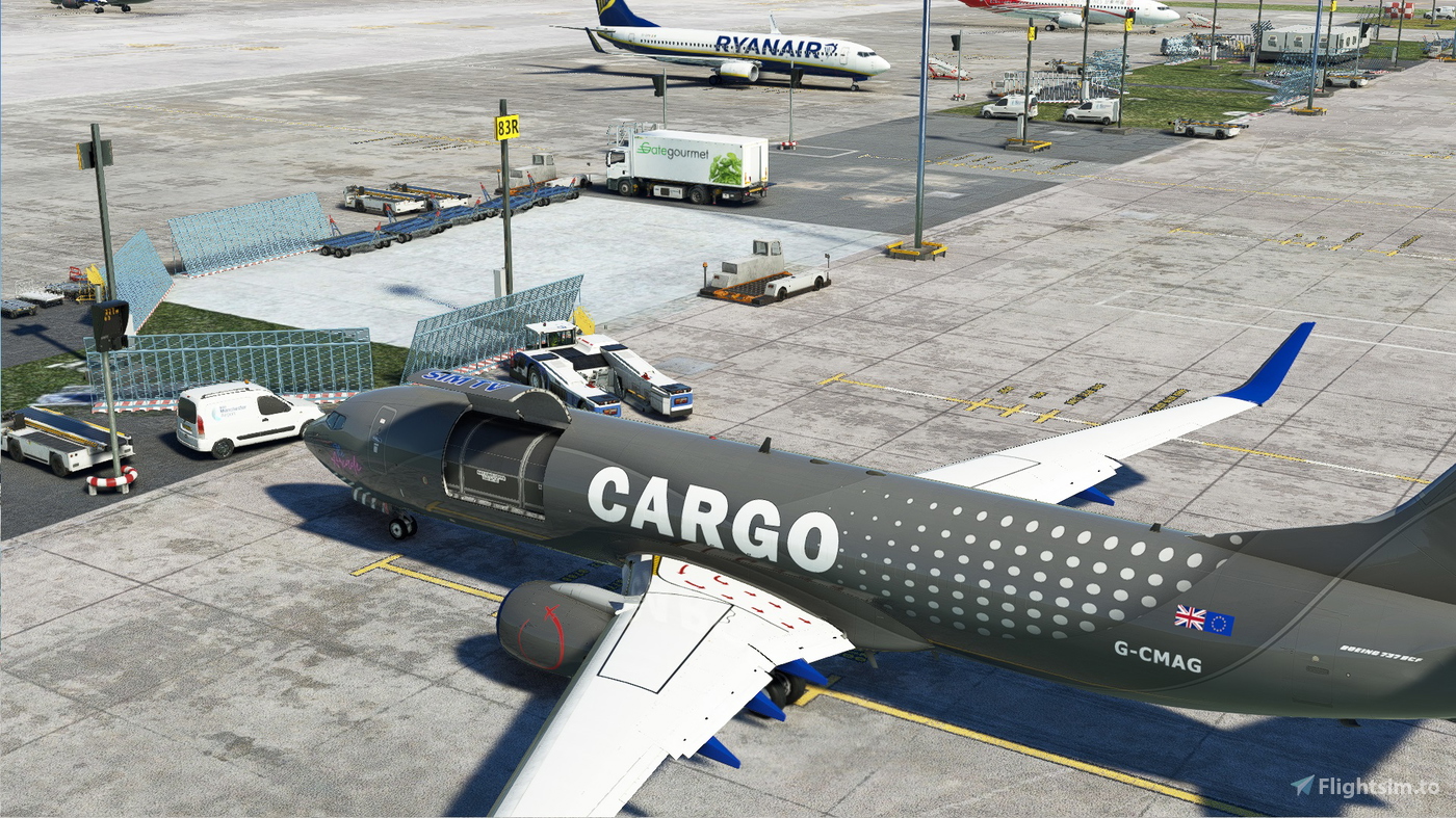 PMDG 737-800 Mag Sim TV BCF (cargo) BW for Microsoft Flight Simulator ...