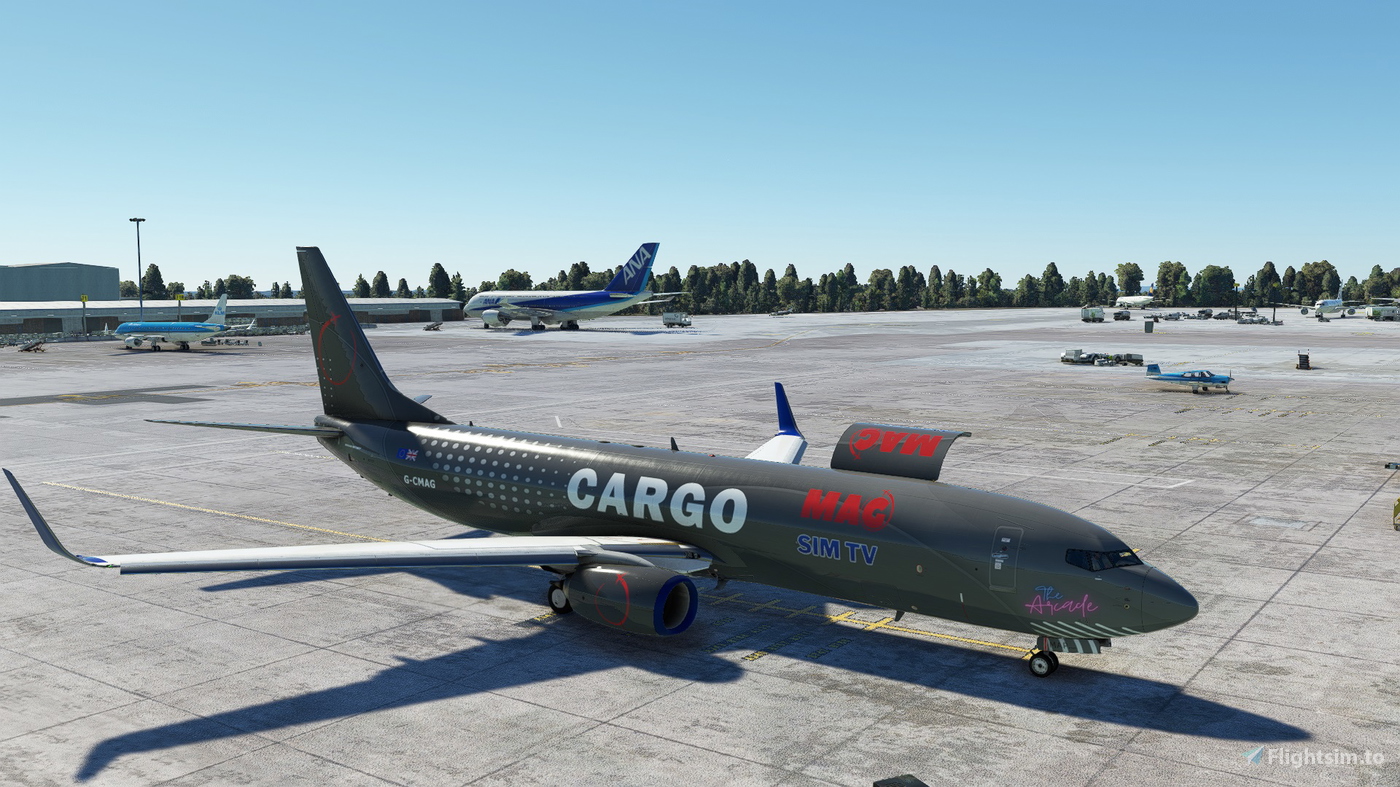 PMDG 737-800 Mag Sim TV BCF (cargo) BW für Microsoft Flight Simulator | MSFS
