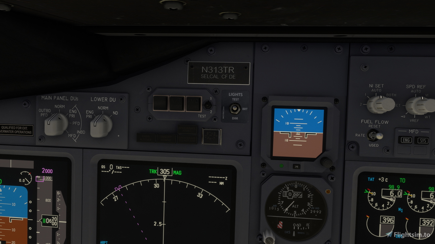 PMDG 737-800 Olympia Aviation - Detroit Redwings & Tigers N313TR for ...