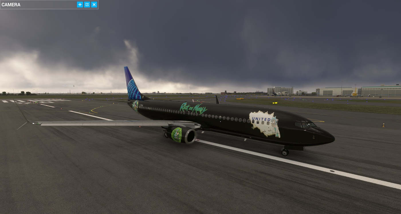 PMDG 737-800 Rick and Morty Livery Pack for Microsoft Flight Simulator ...