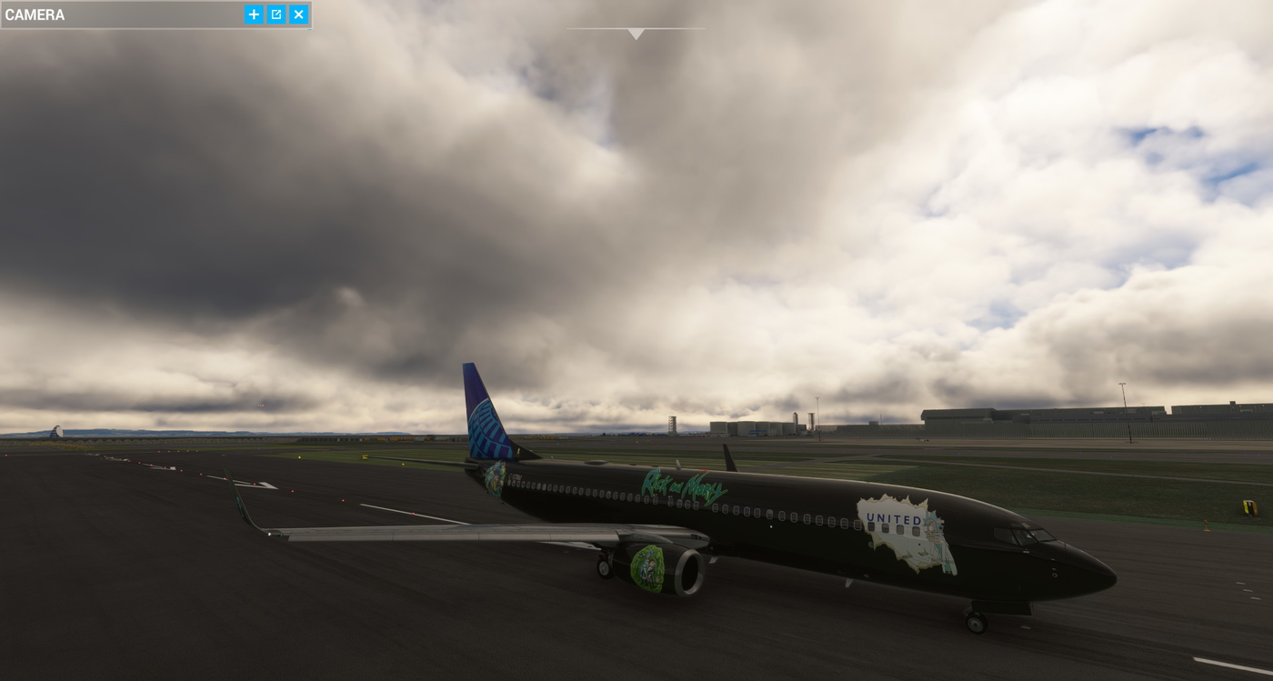 PMDG 737-800 Rick and Morty Livery Pack for Microsoft Flight Simulator ...