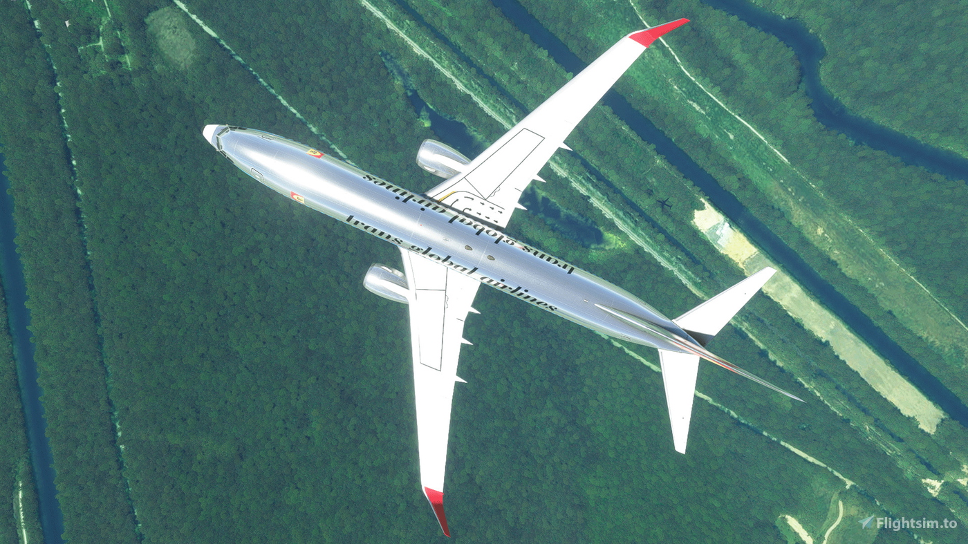 PMDG 737-800 w/ cabin Trans Global Airlines (N324F) for Microsoft ...