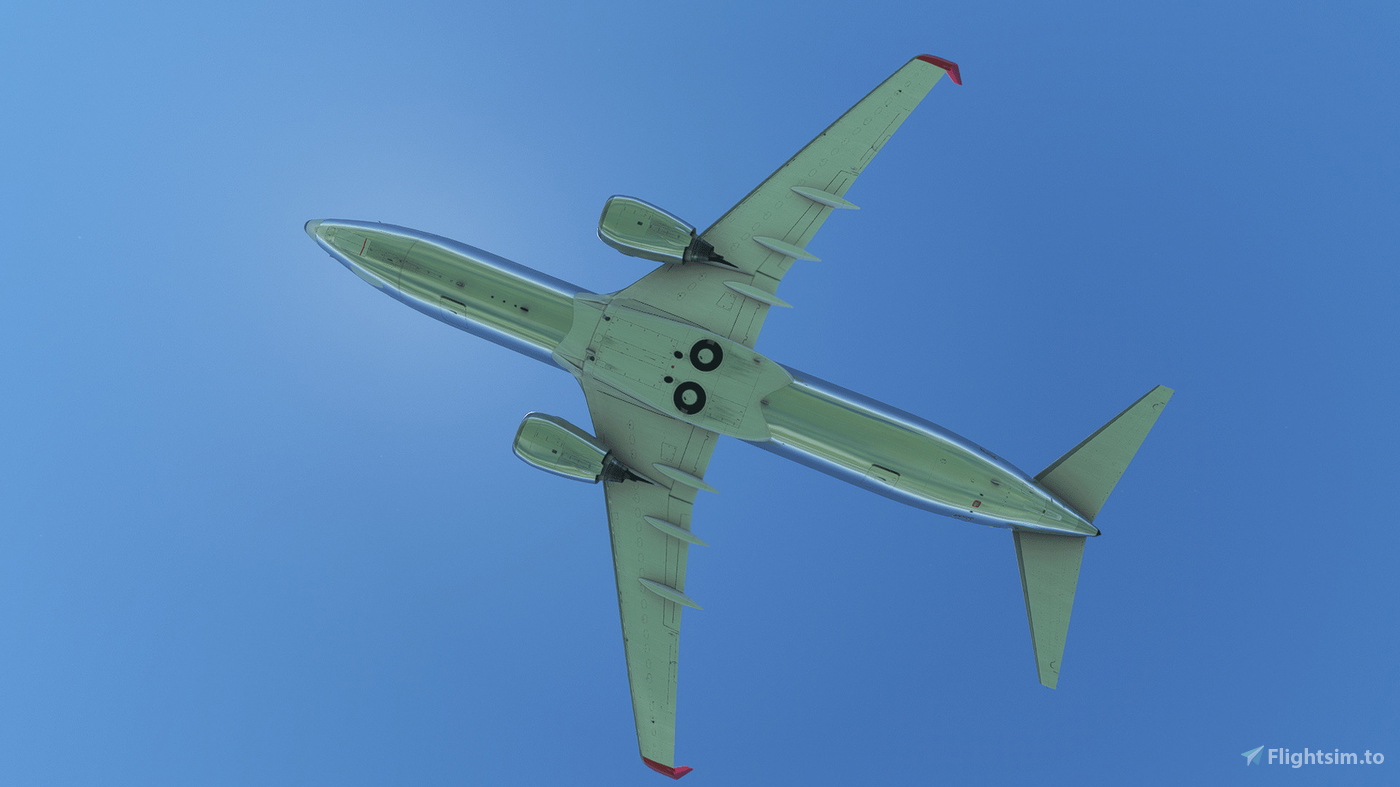 PMDG 737-800 w/ cabin Trans Global Airlines (N324F) for Microsoft ...