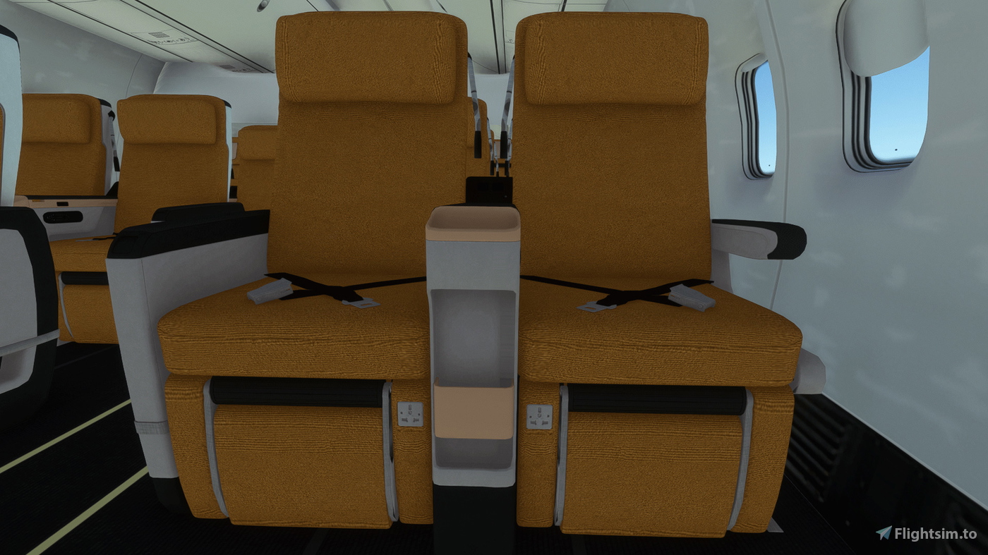 PMDG 737-800 w/ cabin Trans Global Airlines (N324F) for Microsoft ...