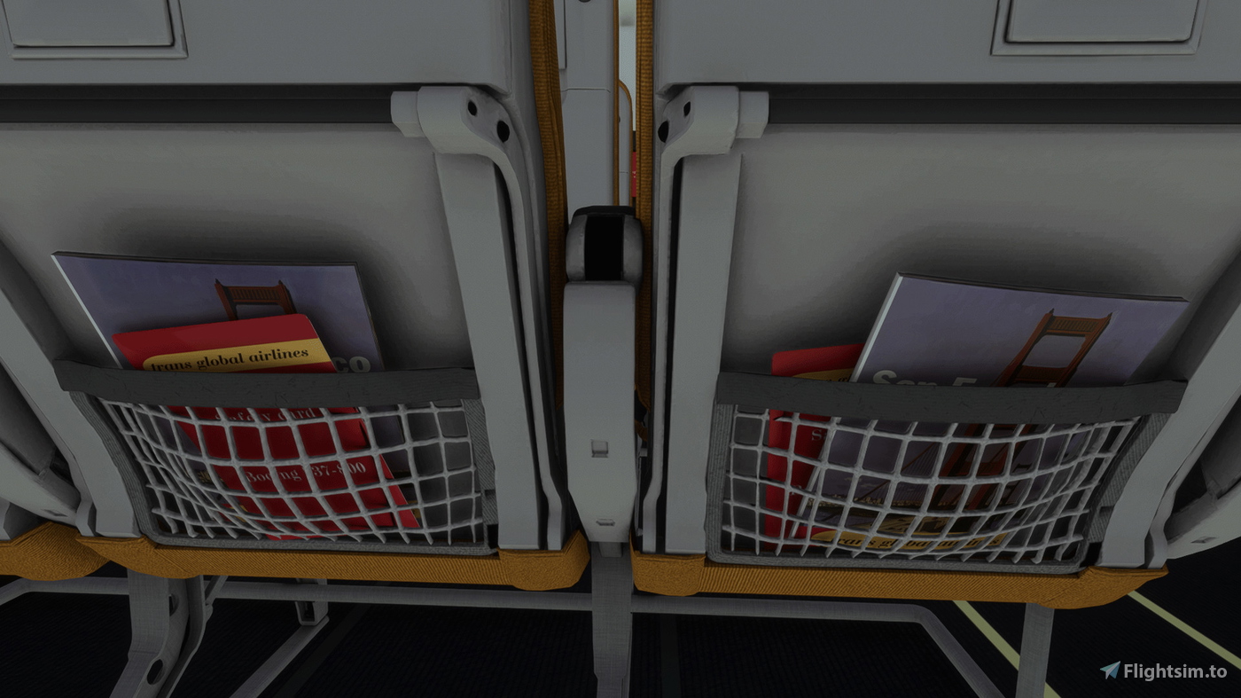 PMDG 737-800 w/ cabin Trans Global Airlines (N324F) for Microsoft ...