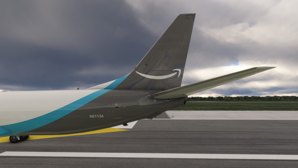PMDG 737-800 Rick and Morty Livery Pack for Microsoft Flight Simulator ...