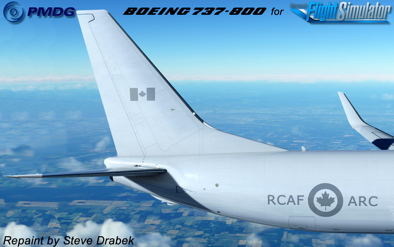PMDG Boeing 737-800 Liveries for Microsoft Flight Simulator | MSFS