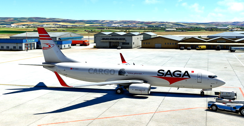 PMDG Boeing 737-800 Liveries for Microsoft Flight Simulator | MSFS | Flightsim.to