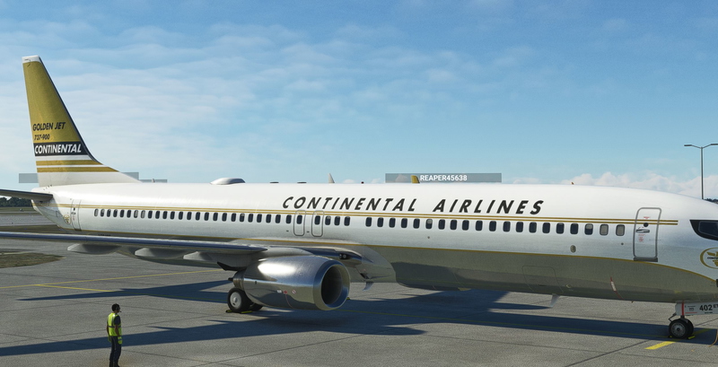 PMDG Boeing 737-900 Liveries 对于 Microsoft Flight Simulator | MSFS